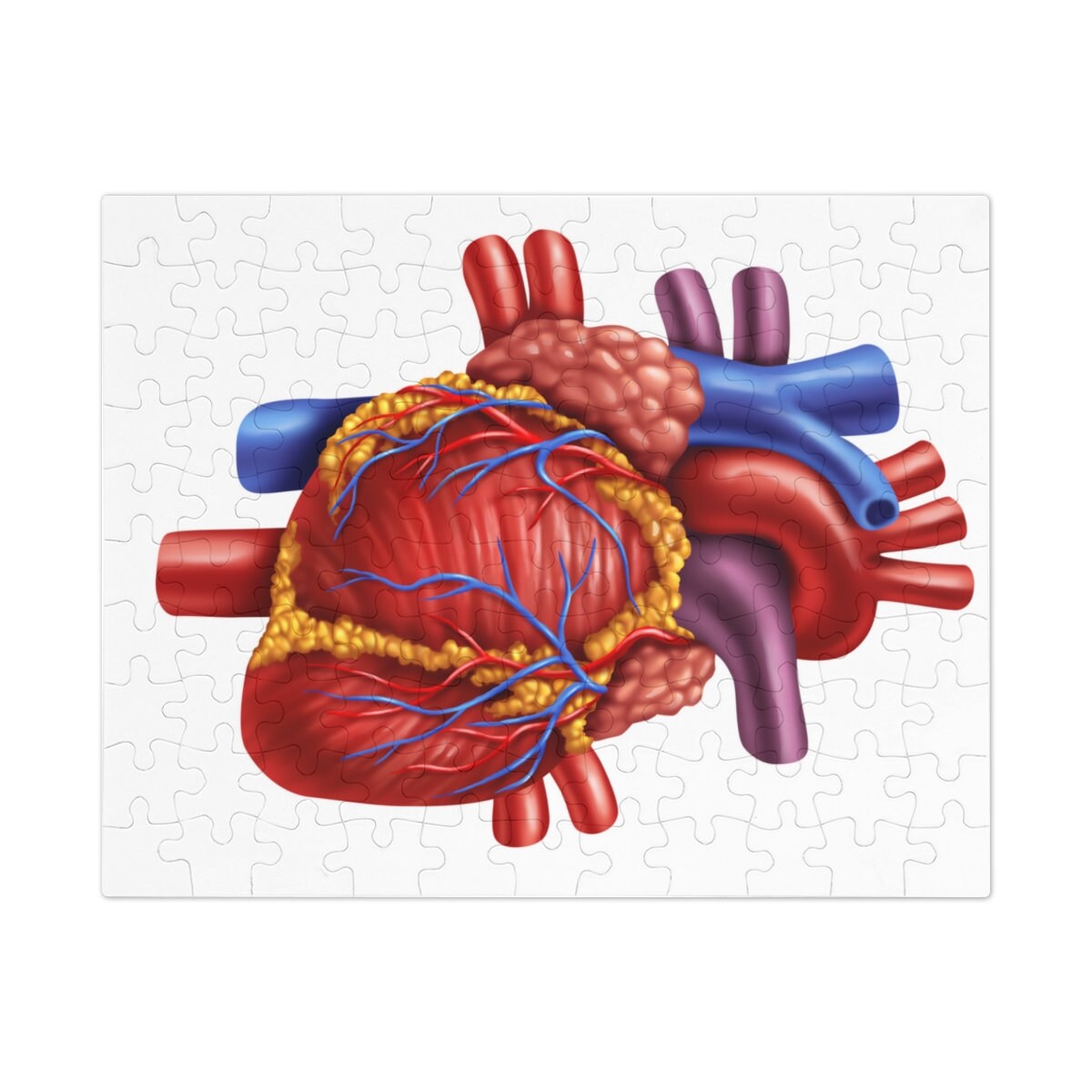 Jigsaw Heart Anatomy Puzzle Metal Box Gift Human Heart Puzzle Gift for ...