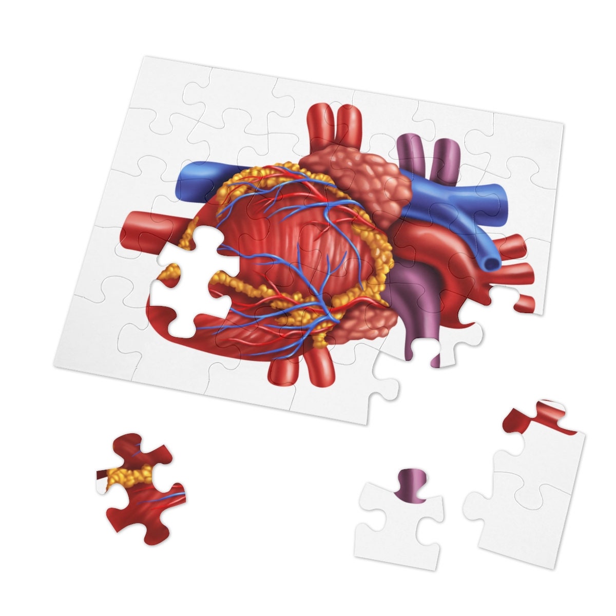 Jigsaw Heart Anatomy Puzzle Metal Box Gift Human Heart Puzzle Gift for ...
