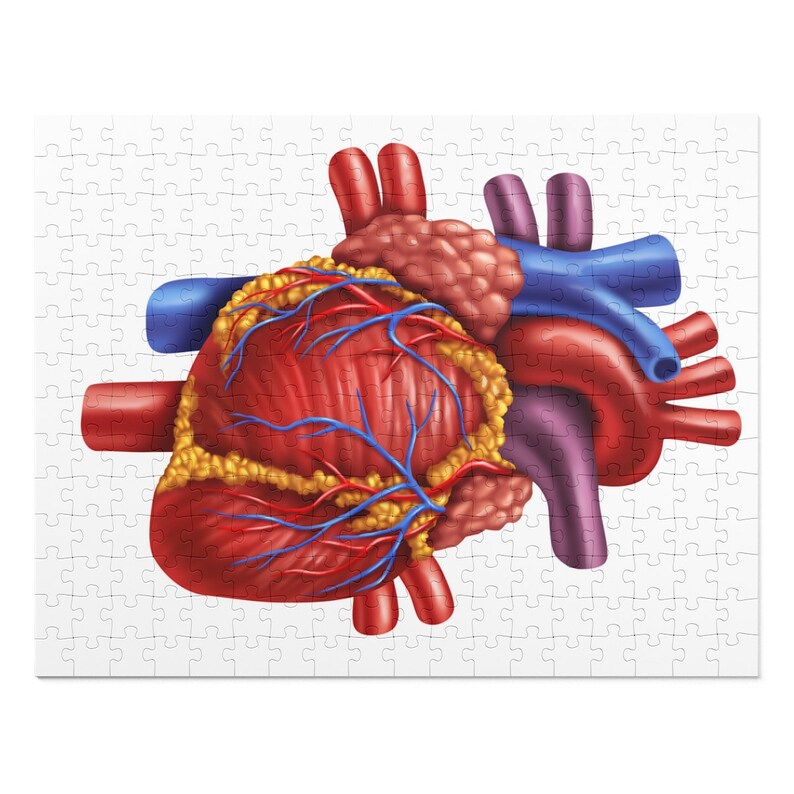 Jigsaw Heart Anatomy Puzzle Metal Box Gift Human Heart Puzzle - Etsy