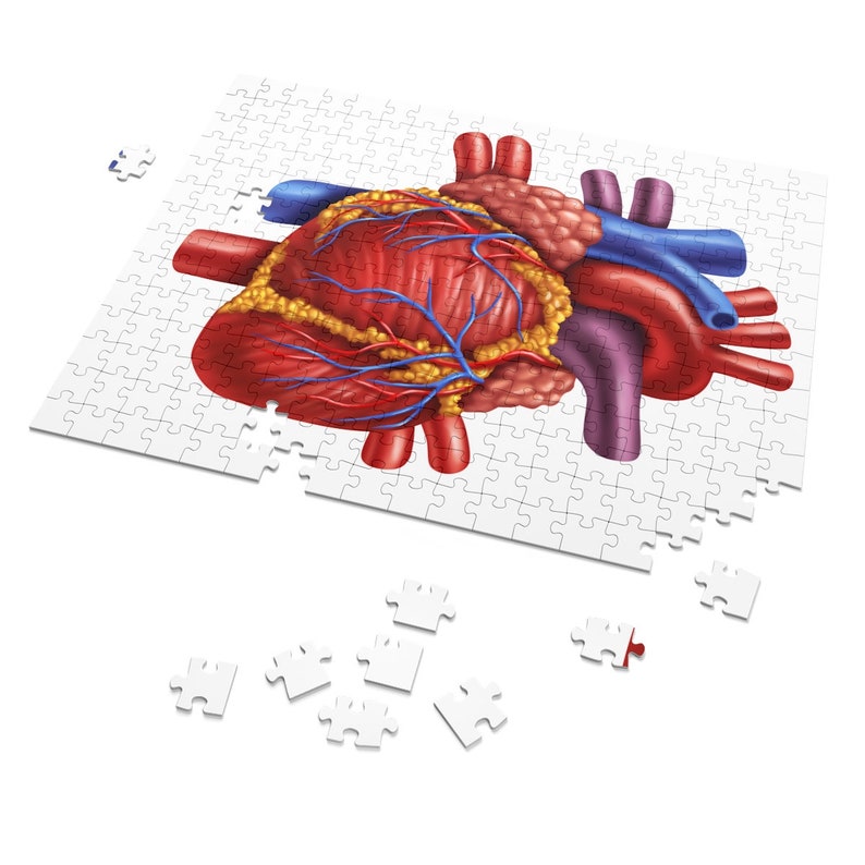 Jigsaw Heart Anatomy Puzzle Metal Box Gift Human Heart Puzzle - Etsy