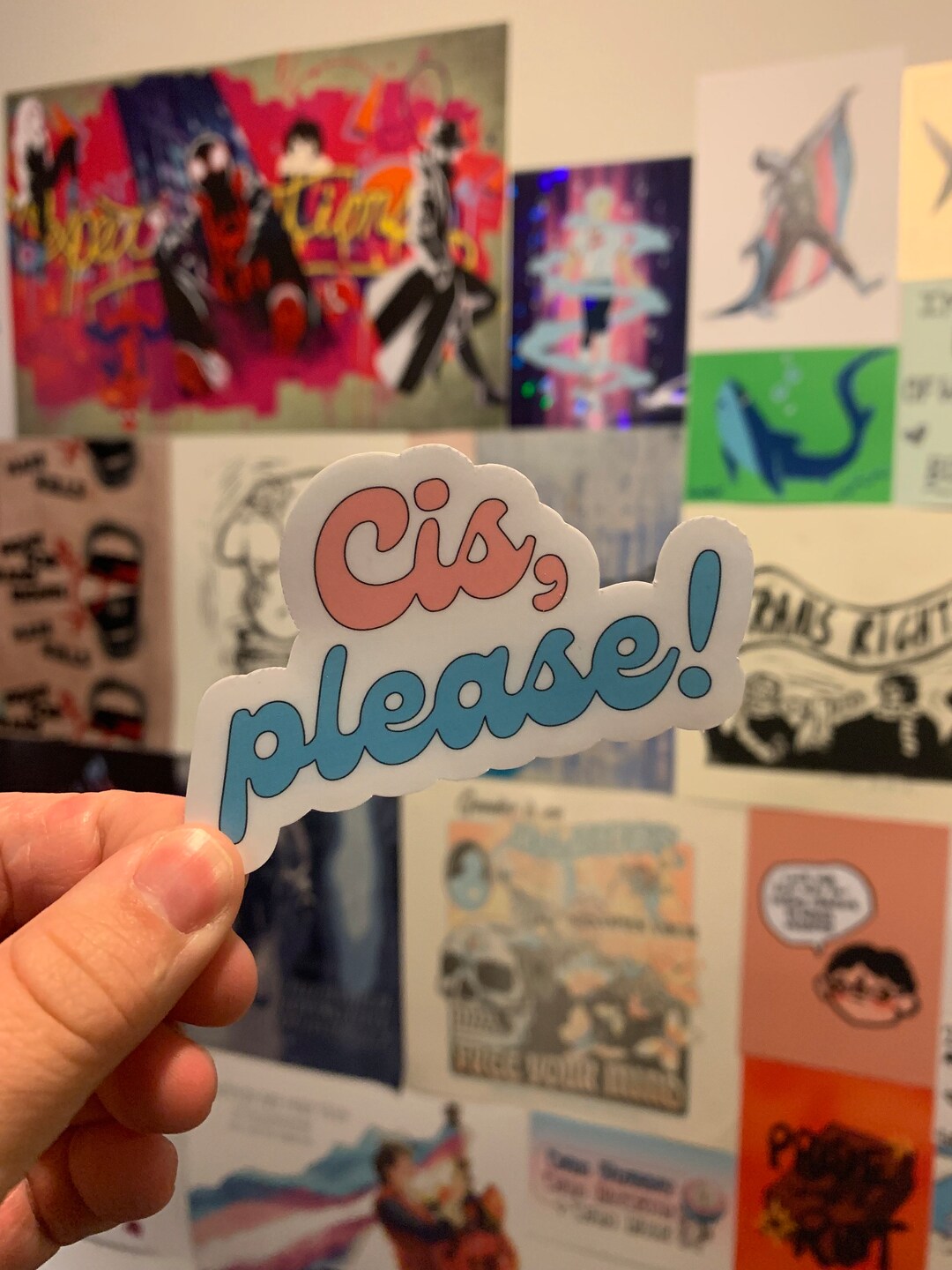 Cis, Please Transgender Pride Sticker - Etsy
