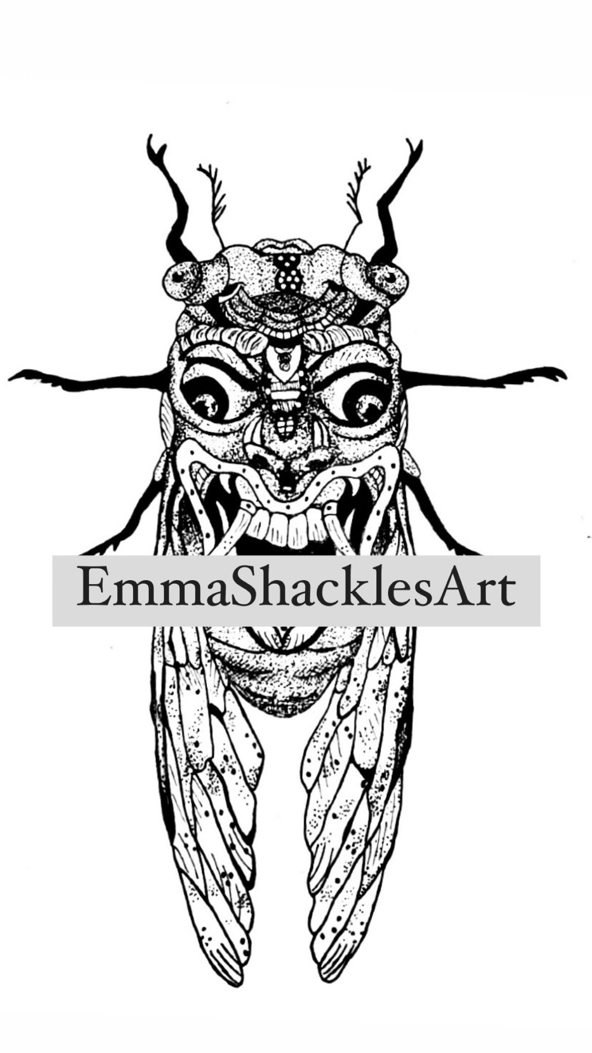 Cicada Ink Print - Etsy