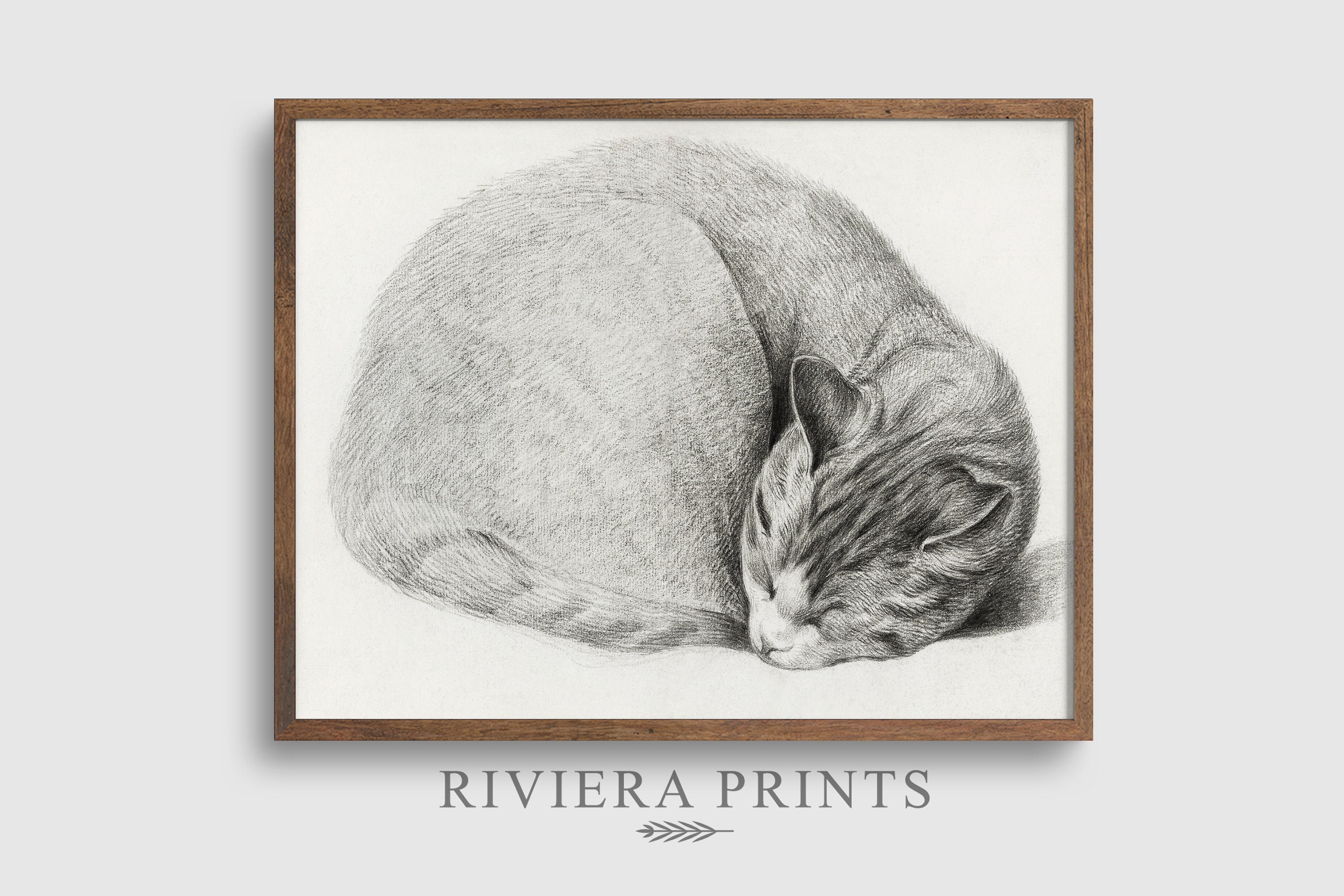 Cat Nursery Print Vintage Cat PRINTABLE Wall Art Cat Downloadable Art ...