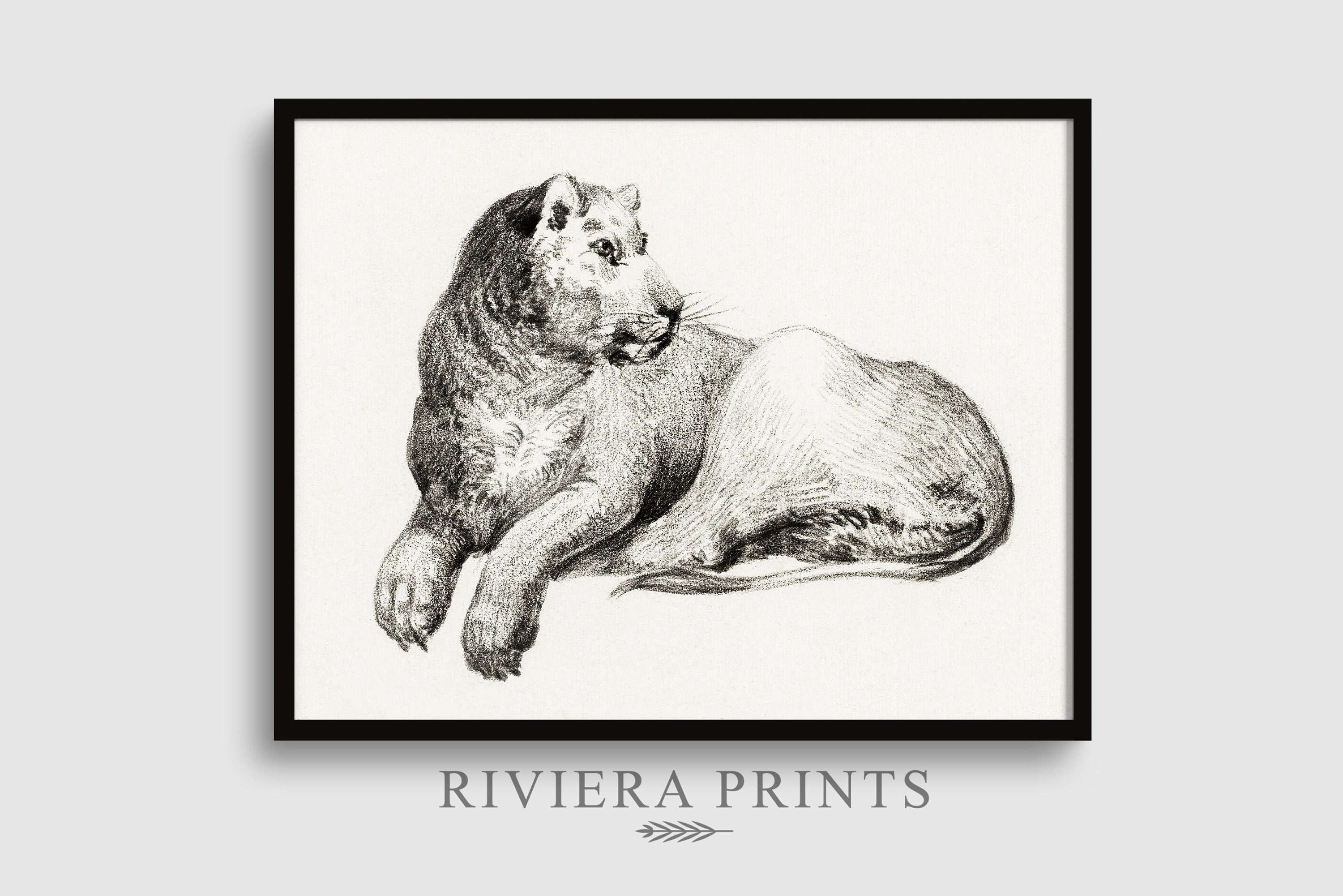 Puma Print Jungle Animal Vintage Wall Art Mountain Lion - Etsy