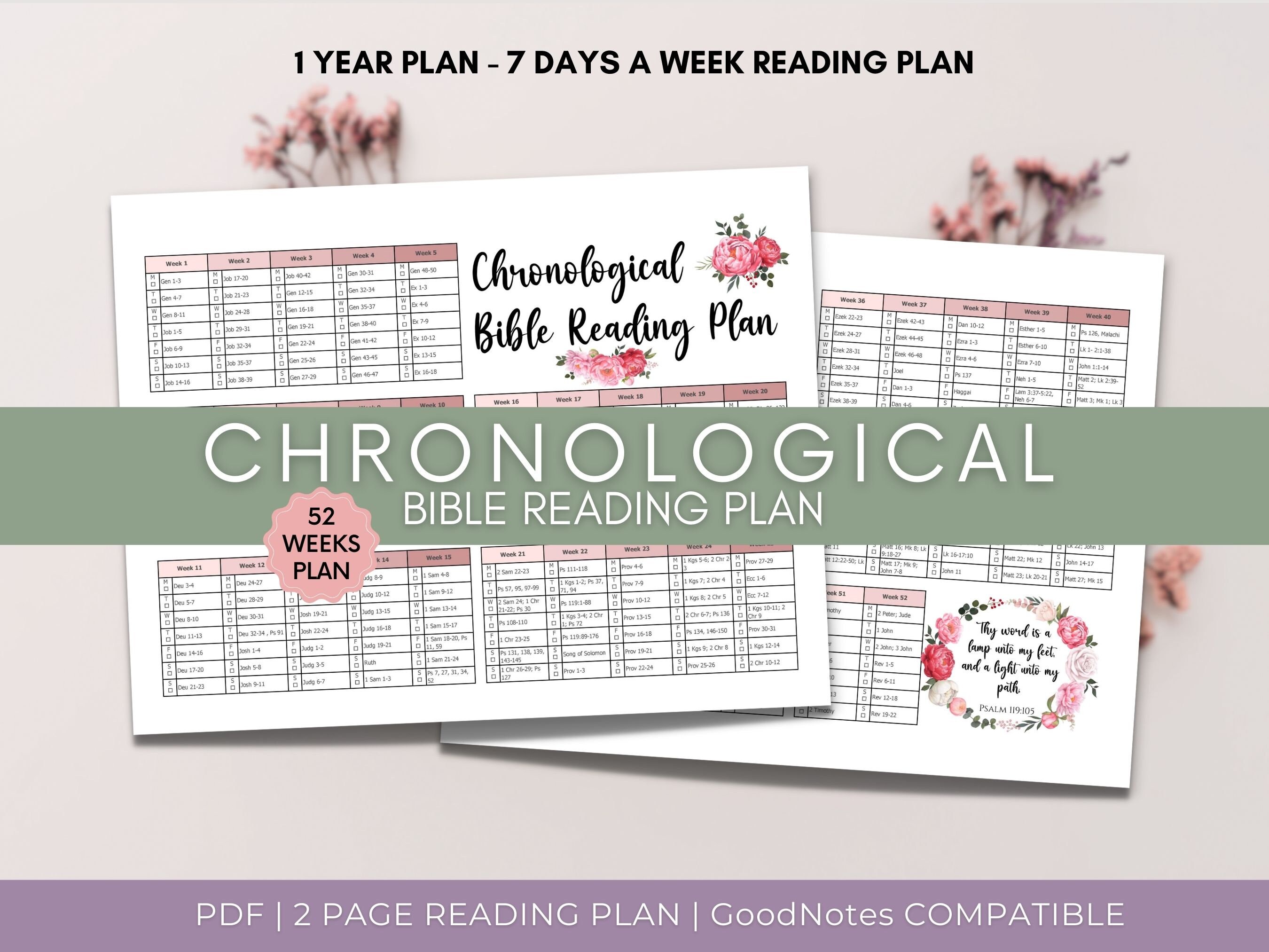 Chronological Bible Reading Schedule, Printable 1 Year Protestant Bible ...