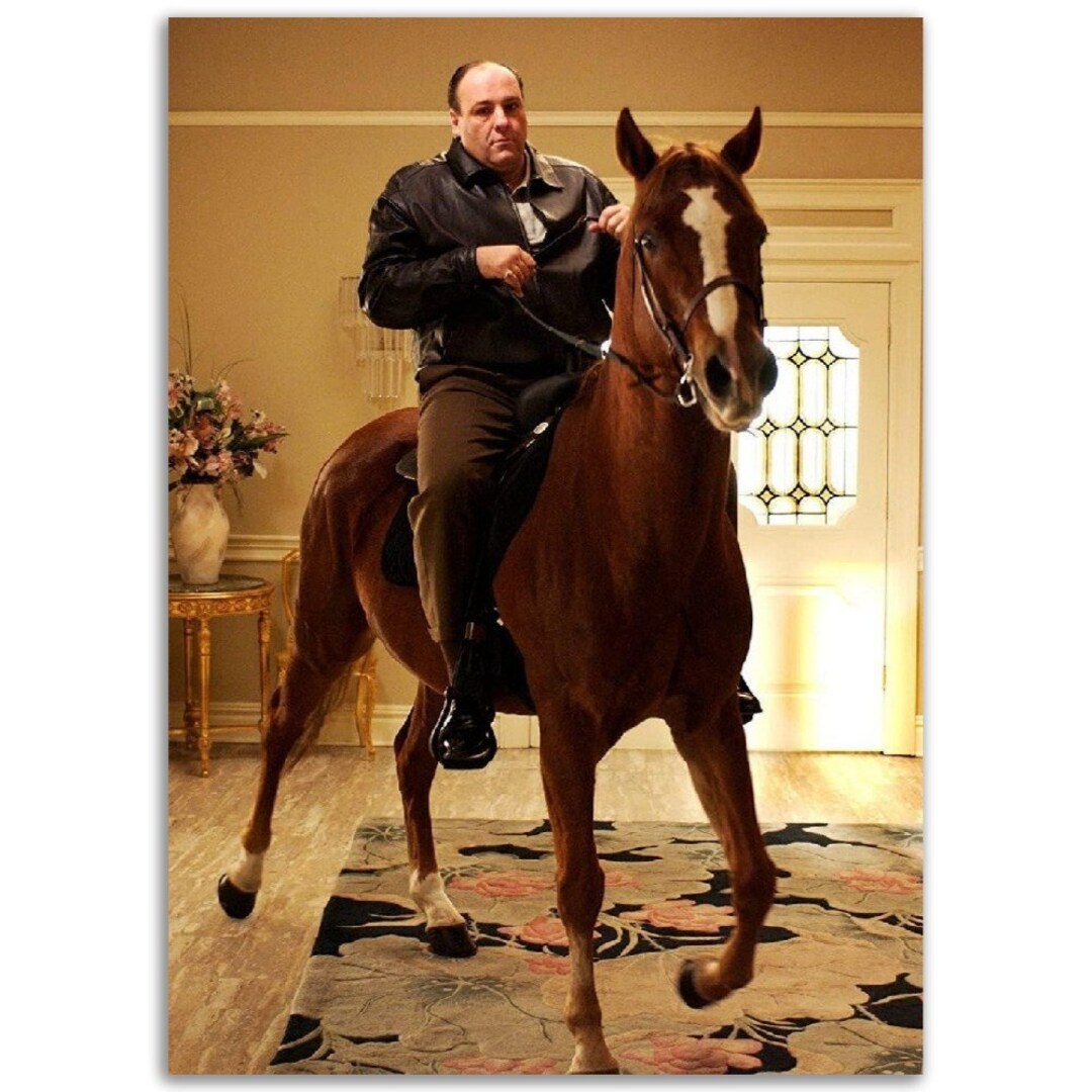 20x28 Tony Soprano Riding Horse Poster Tony Soprano - Etsy