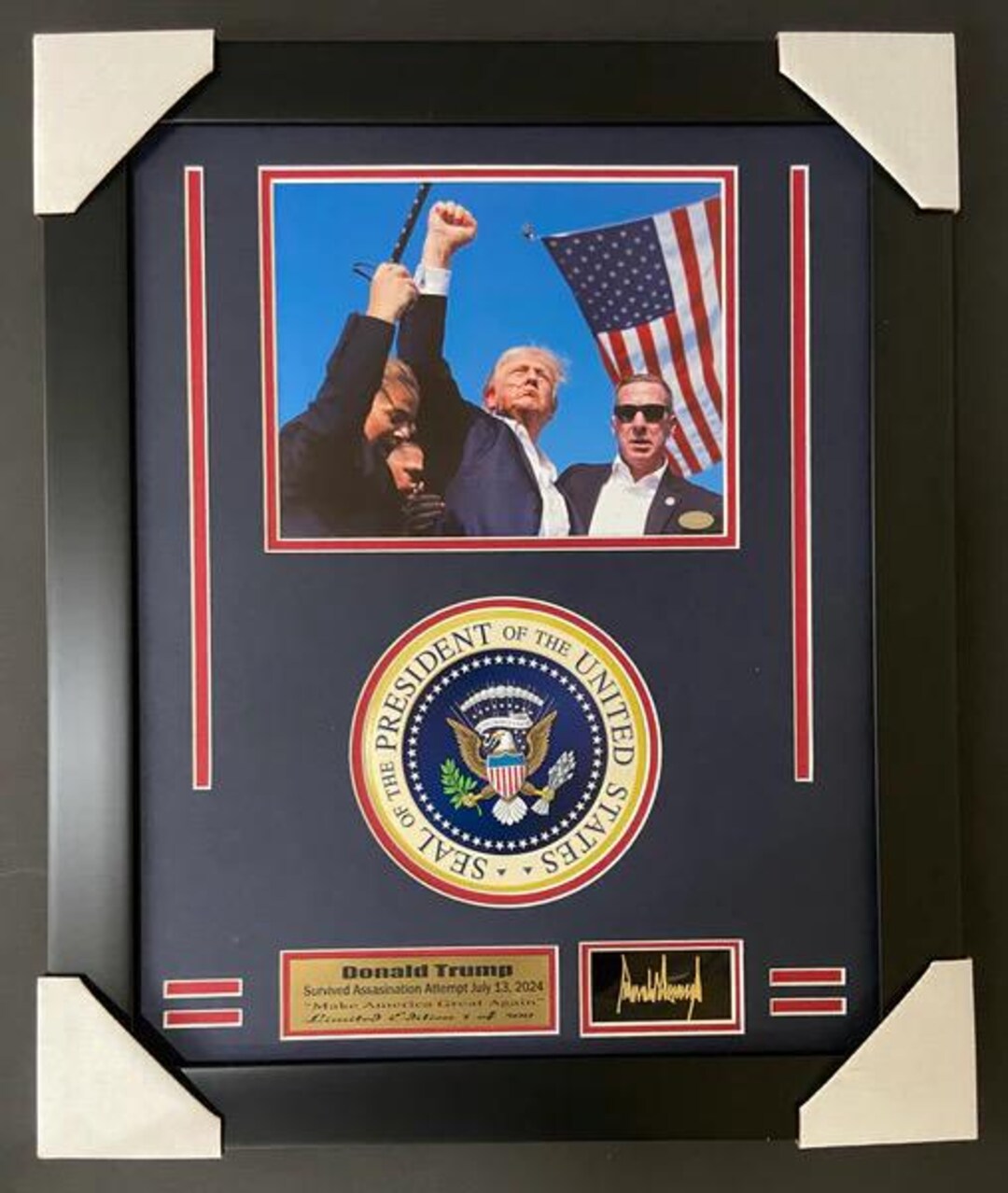 Donald Trump Assassination Attempt 8x10 Photo Framed - Etsy