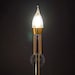 Set of 2 Golden Reed LED Lights | Wedding Backdrop Stands - Etsy