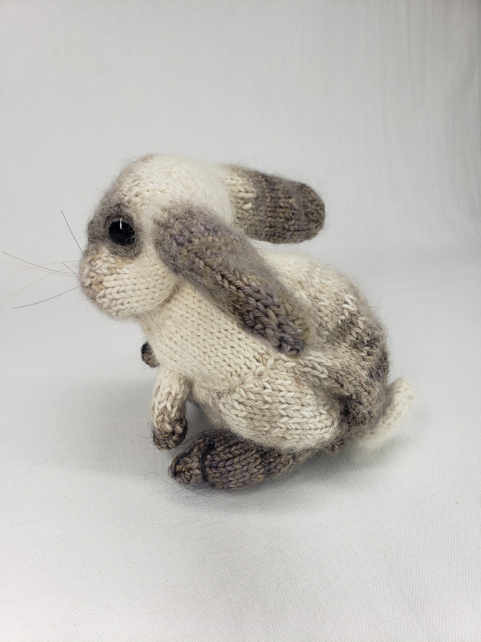 Realistic·• Knitted • Frosty Sable Holland Lop With Silver Bunny Rabbit ...