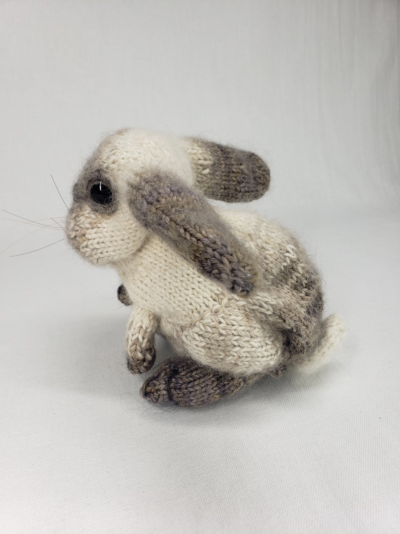 Realistic·• Knitted • Frosty Sable Holland Lop With Silver Bunny Rabbit ...
