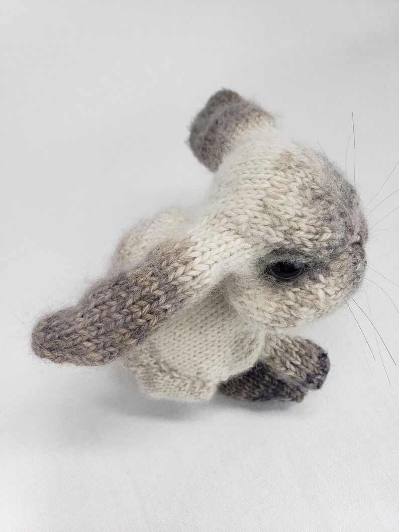 Realistic·• Knitted • Frosty Sable Holland Lop With Silver Bunny Rabbit ...