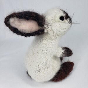 Bunny Rabbit • Knitted • Realistic·• Standard Californian Rex Satin ...