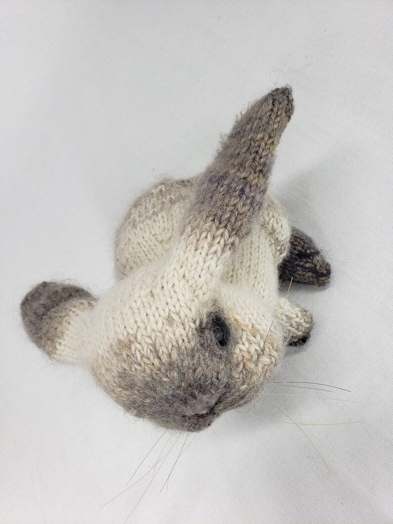 Realistic·• Knitted • Frosty Sable Holland Lop With Silver Bunny Rabbit ...