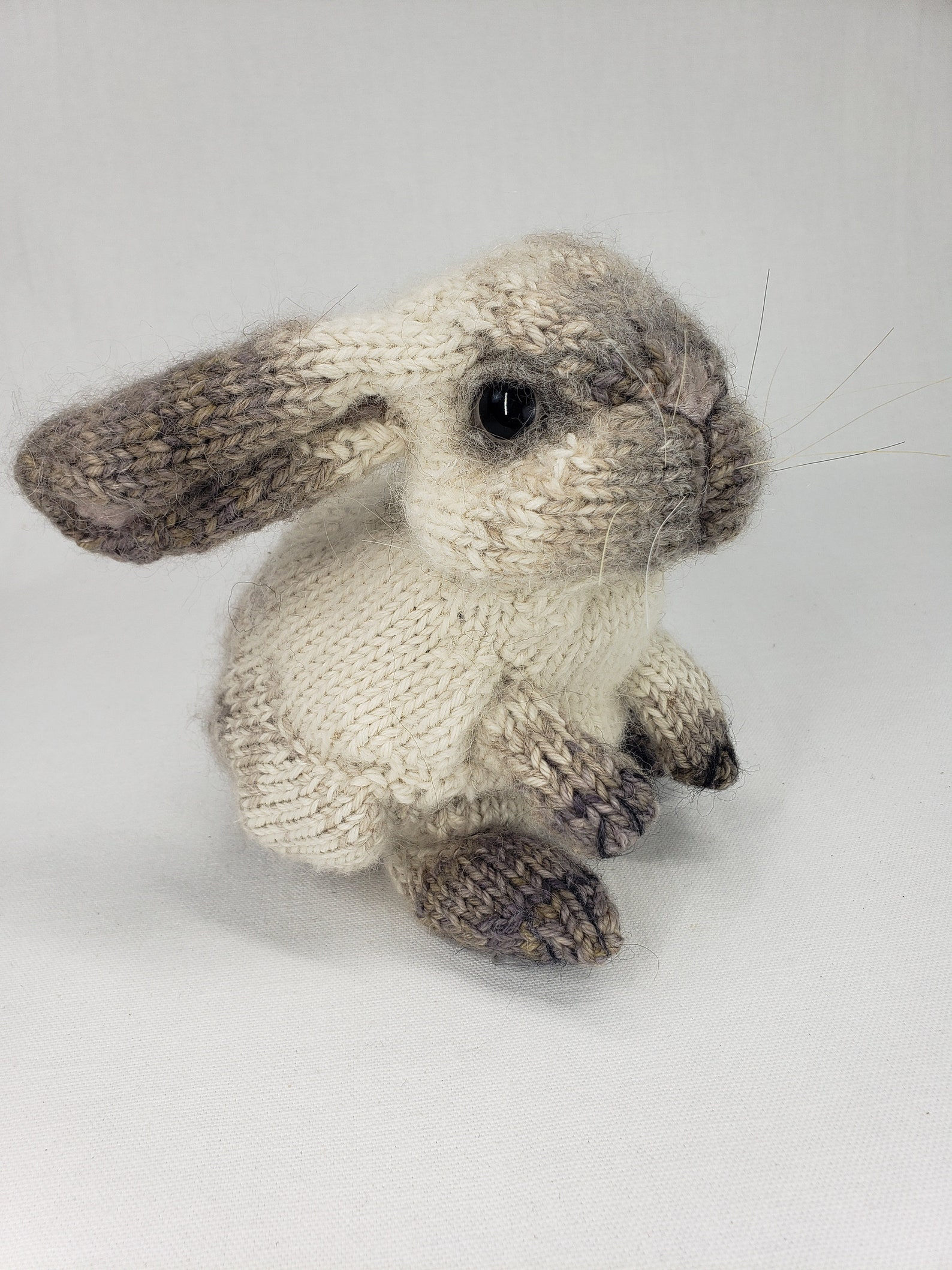 Realistic·• Knitted • Frosty Sable Holland Lop With Silver Bunny Rabbit ...