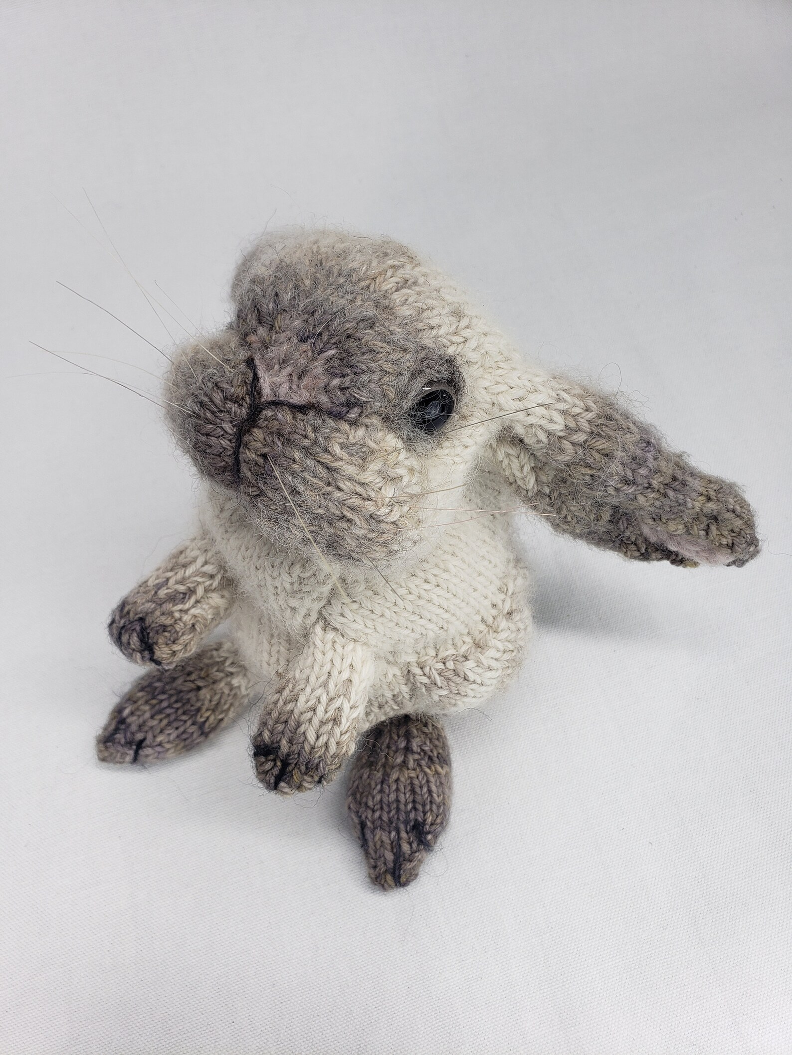 Realistic·• Knitted • Frosty Sable Holland Lop With Silver Bunny Rabbit ...