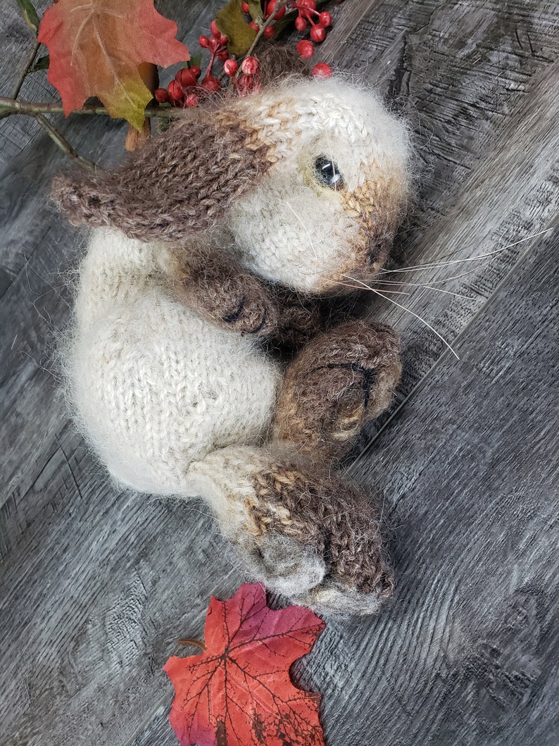 Bunny Rabbit • Knitted • Realistic·• Siamese Sable American Fuzzy Lop ...