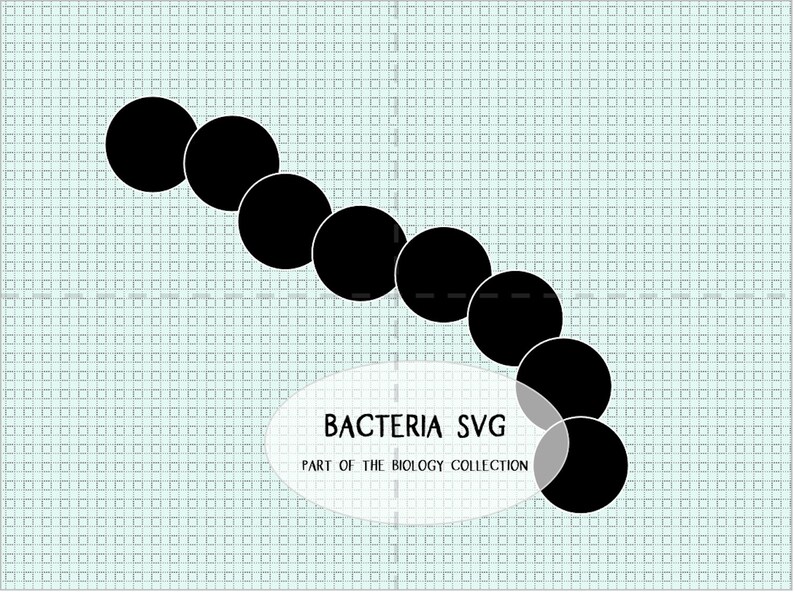Bacteria SVG Bundle Microbiology Bacterium - Etsy