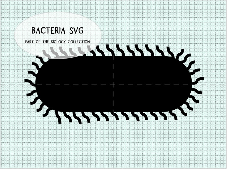 Bacteria SVG Bundle Microbiology Bacterium - Etsy
