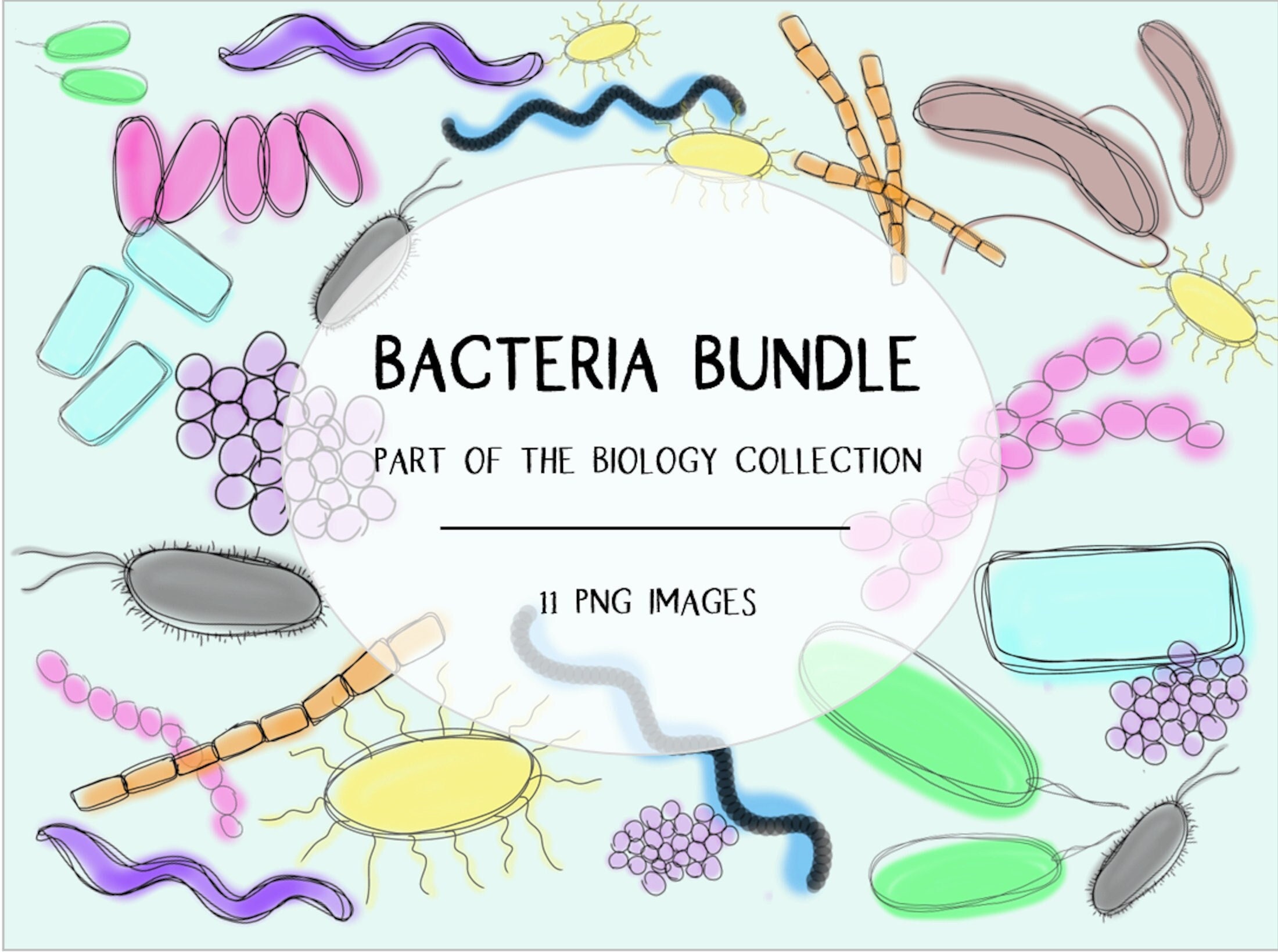 Bacteria Clip Art Bundle - Biology Clip Art Collection - Etsy