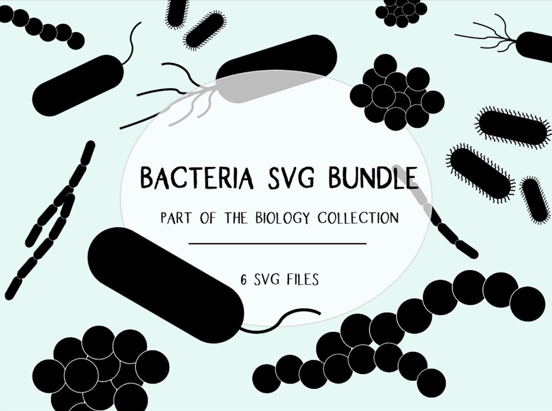 Bacteria SVG Bundle Microbiology Bacterium - Etsy