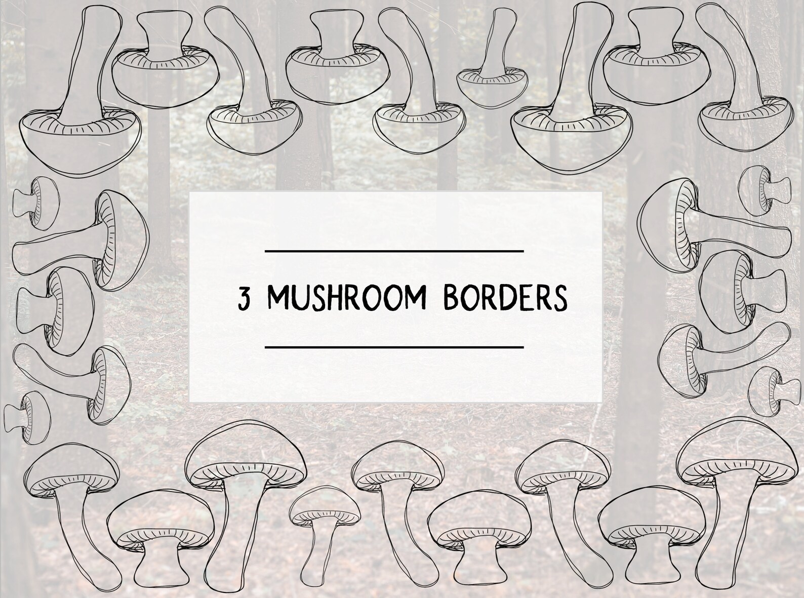 Mushroom Clip Art Bundle Biology Clip Art Collection - Etsy