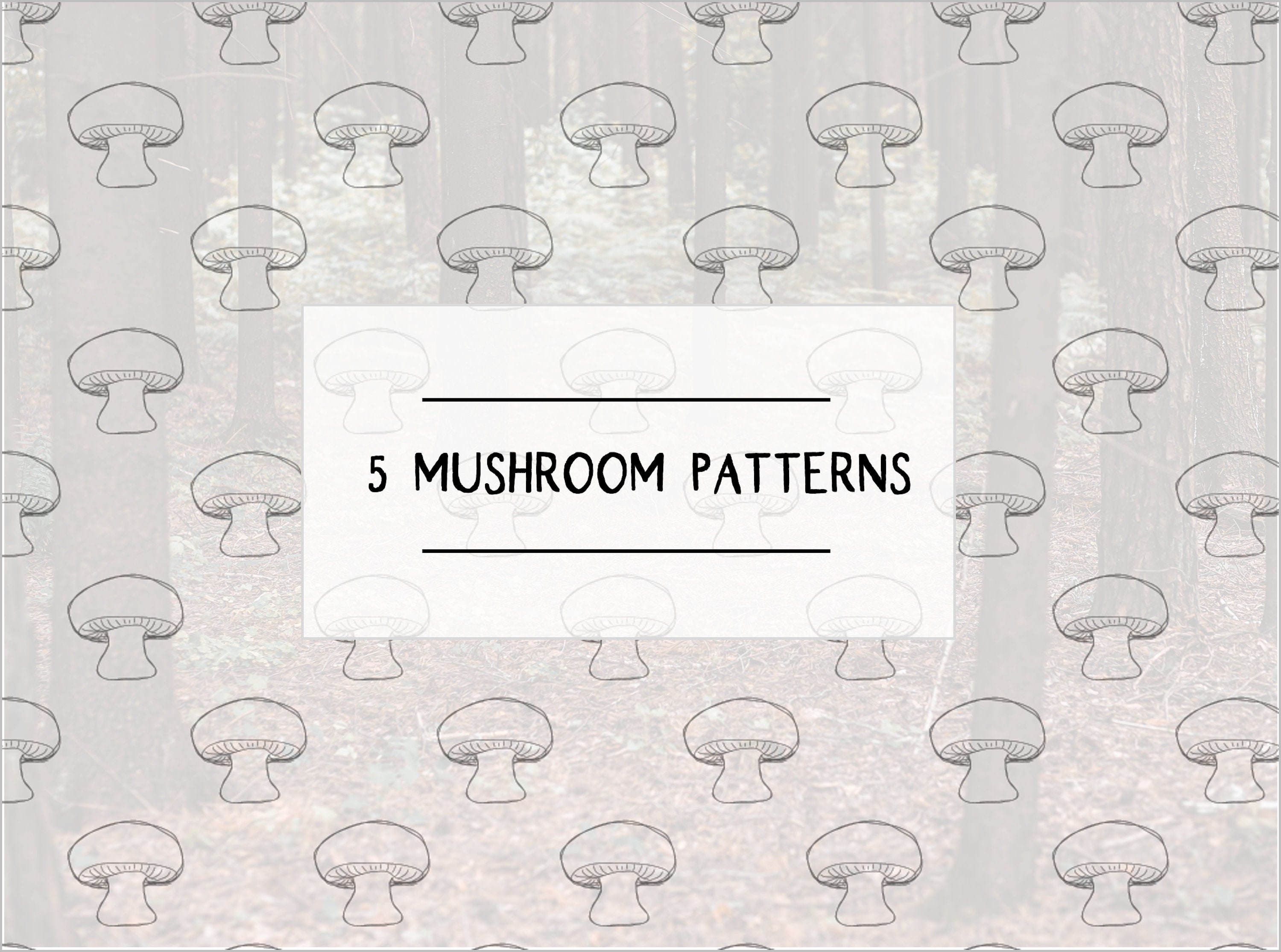 Mushroom Clip Art Bundle Biology Clip Art Collection - Etsy