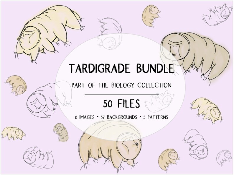 Tardigrade Bundle Biology Clip Art Collection Backgrounds & Clip Art - Etsy