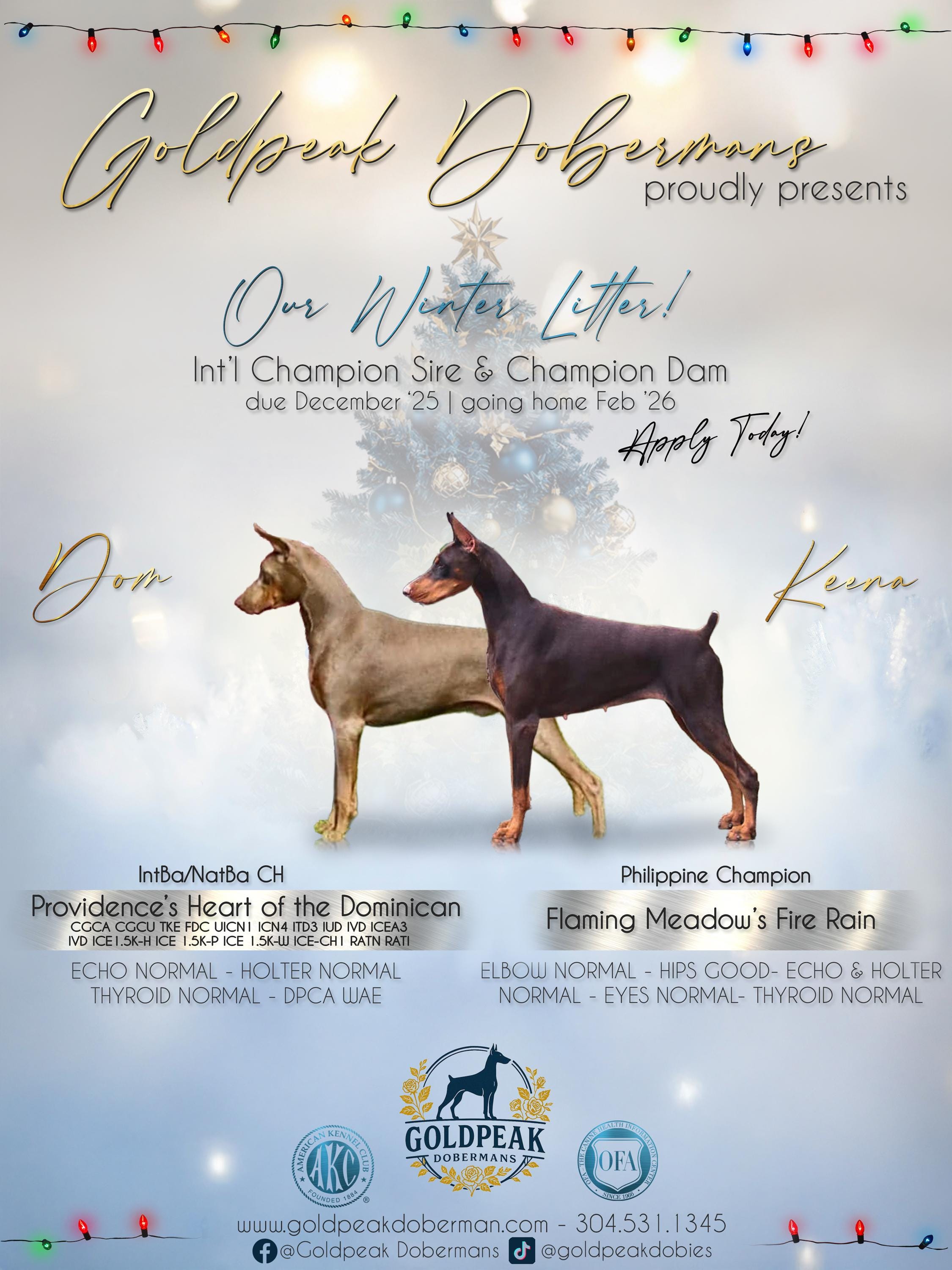 Custom Dog Litter Announcement: Breeder Advertising Graphics - Etsy