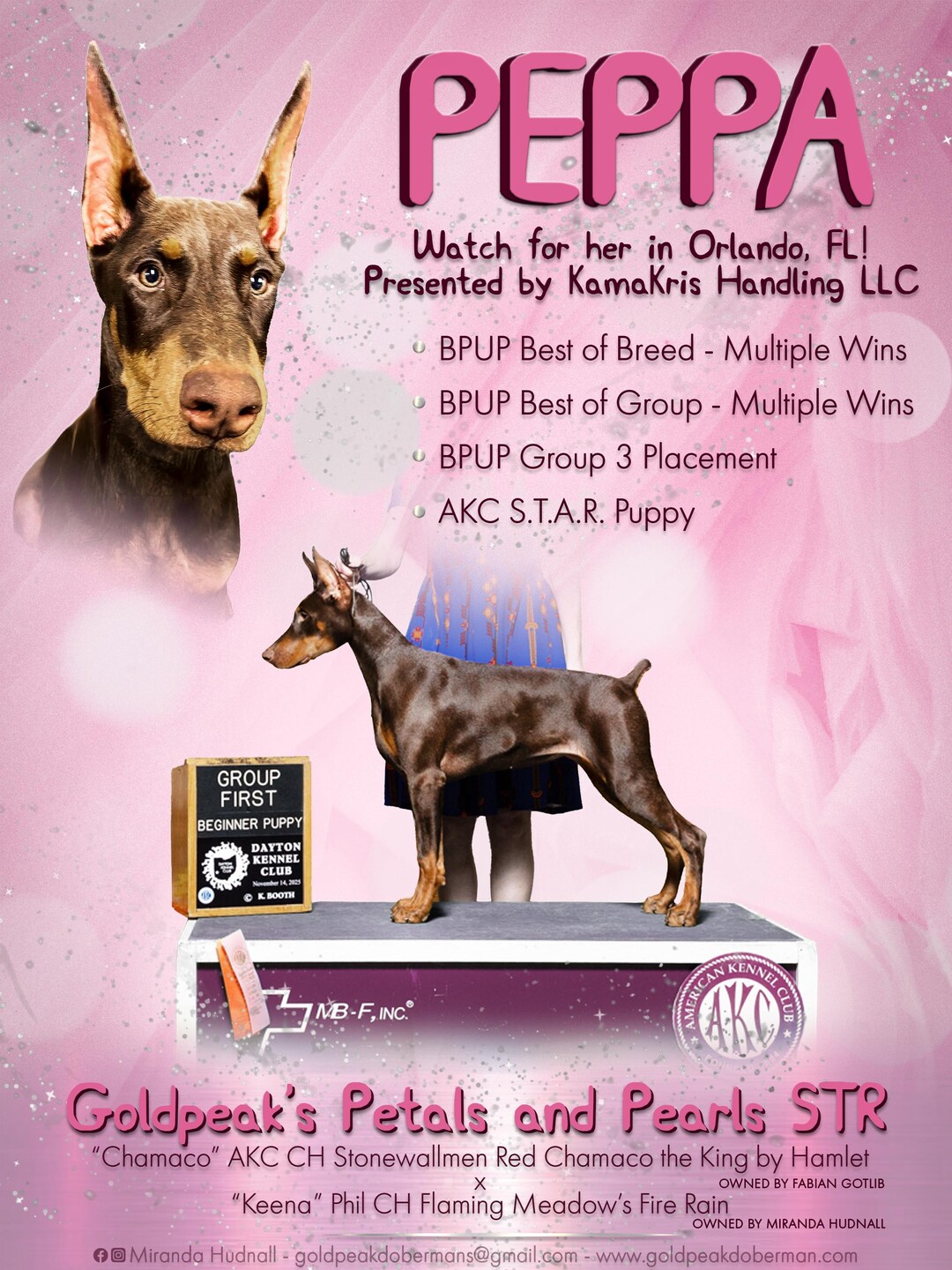 Custom Brood Dog Banner: Breeder Advertising Graphics - Etsy