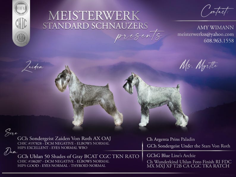 CUSTOM Litter Announcement | Dog Breeder Advertising, Breeder Adverts ...