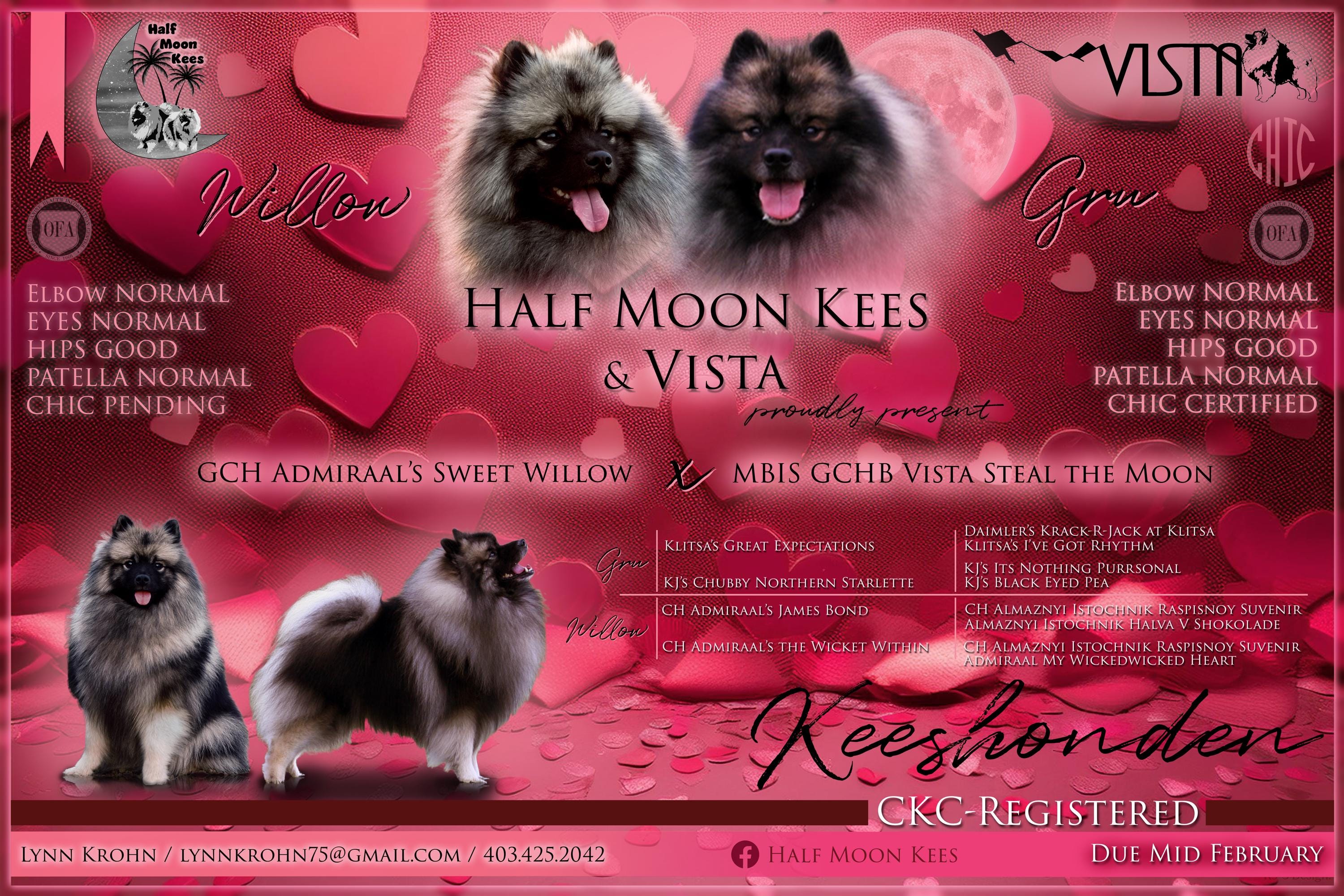 CUSTOM Litter Announcement | Dog Breeder Advertising, Breeder Adverts ...