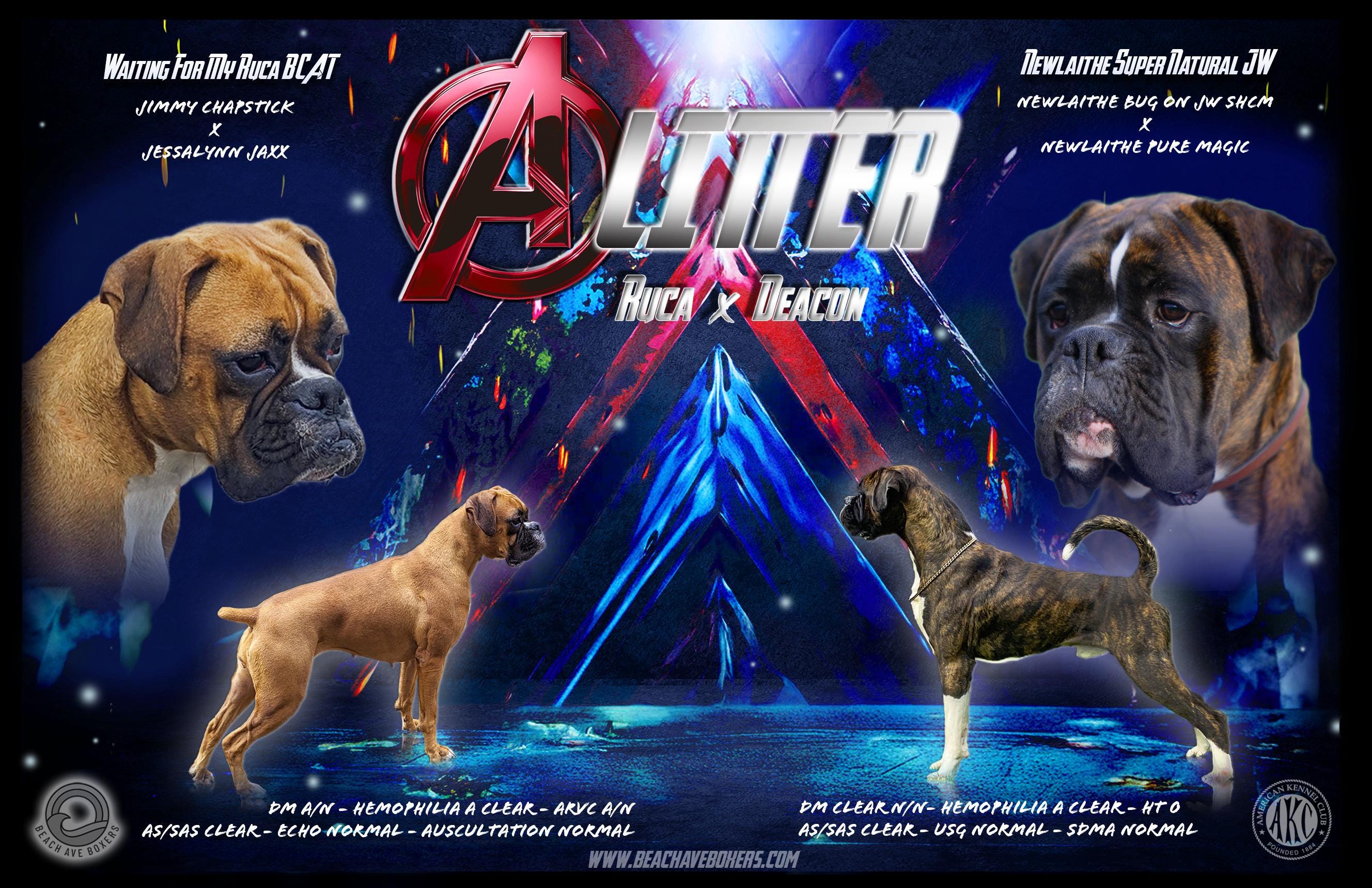 CUSTOM Litter Announcement | Dog Breeder Advertising, Breeder Adverts ...