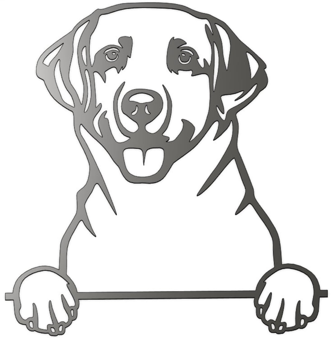 Lab Over Ledge Dxf ONLY File - Etsy