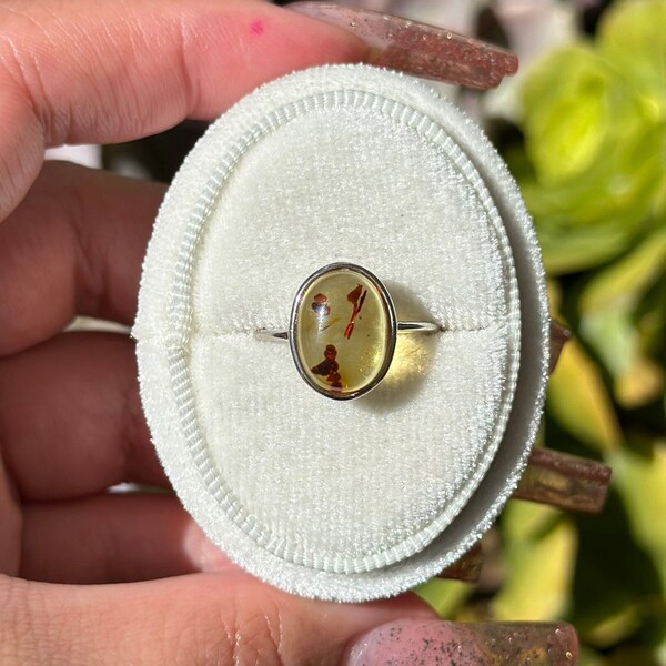 Amber Jewelry - Etsy