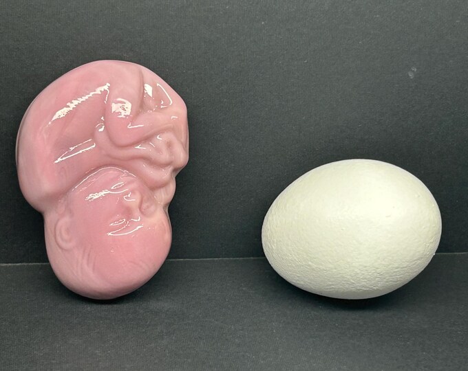 Uranium Glass Human Baby Fetus Figure/paperweight (baby Fetus Only) - Etsy