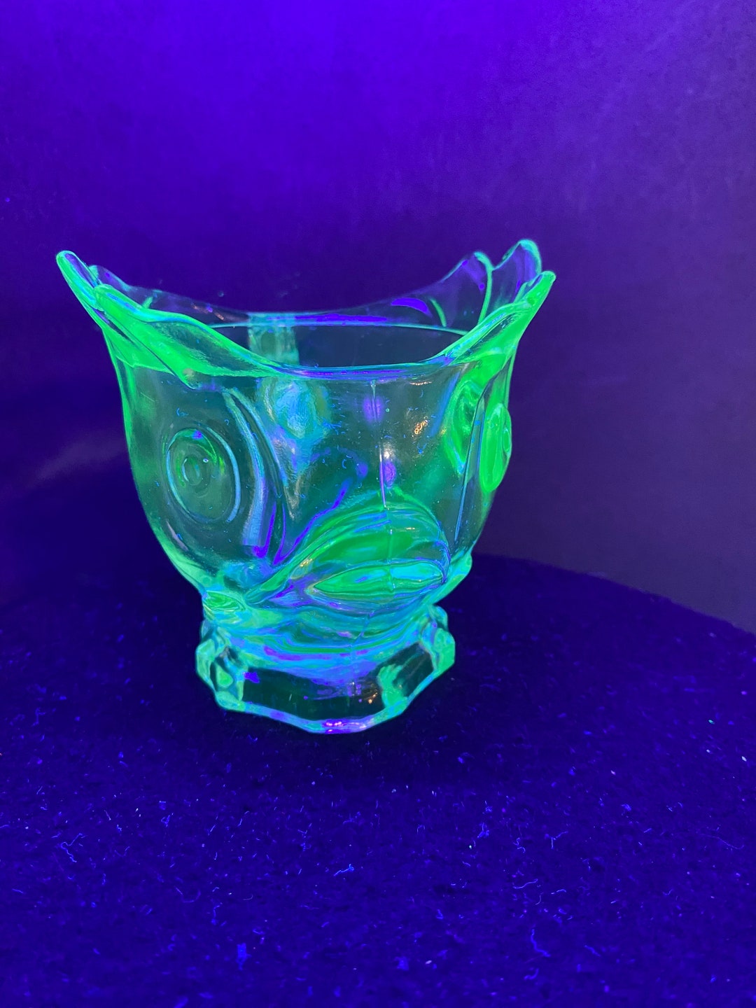 Uranium Green Fish Dish medium Glow - Etsy