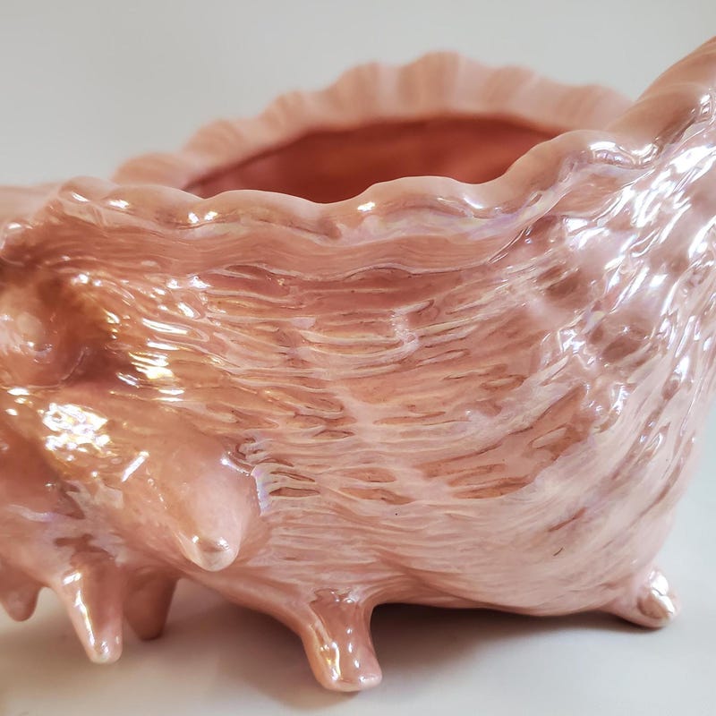Conch Shell Planter - Etsy