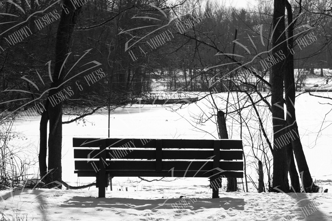 Photo Print "outside Looking In" - Etsy