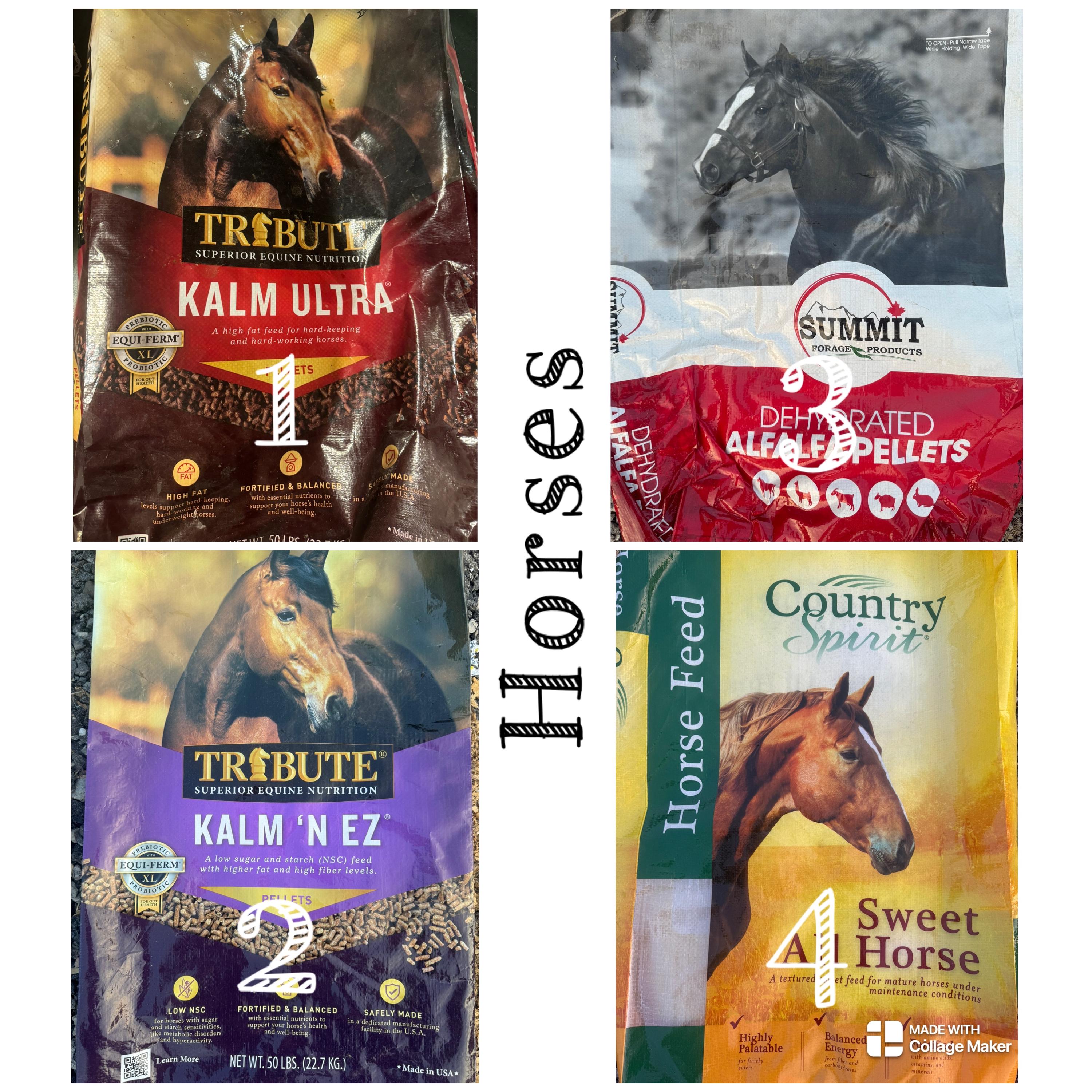 Large Tote Bag - Made From Recycled Feed Bags - Reusable Grocery Bag ...