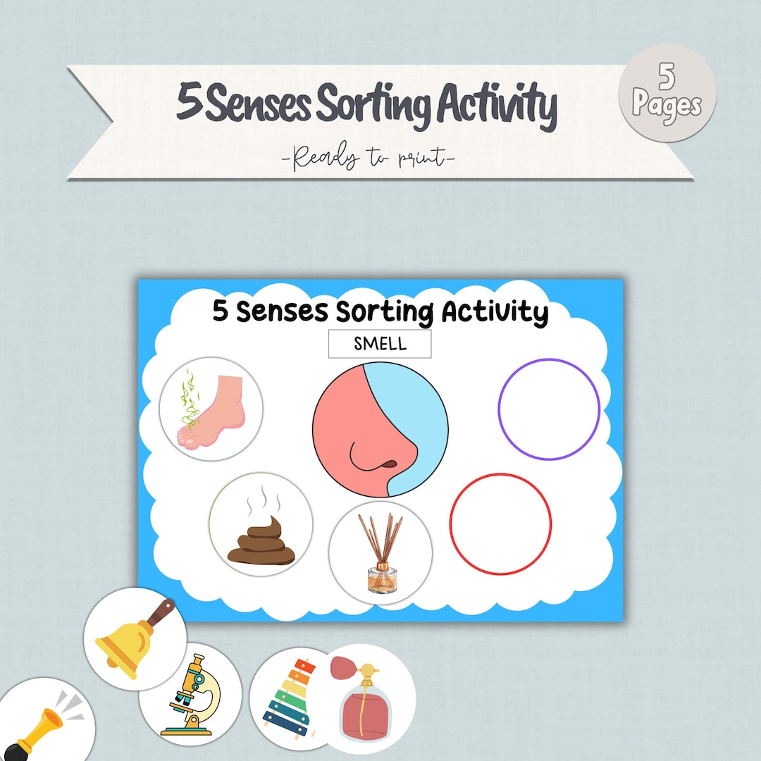 5 Senses Sorting Activity Printable Pages Montessori Sorting Daily Kid ...