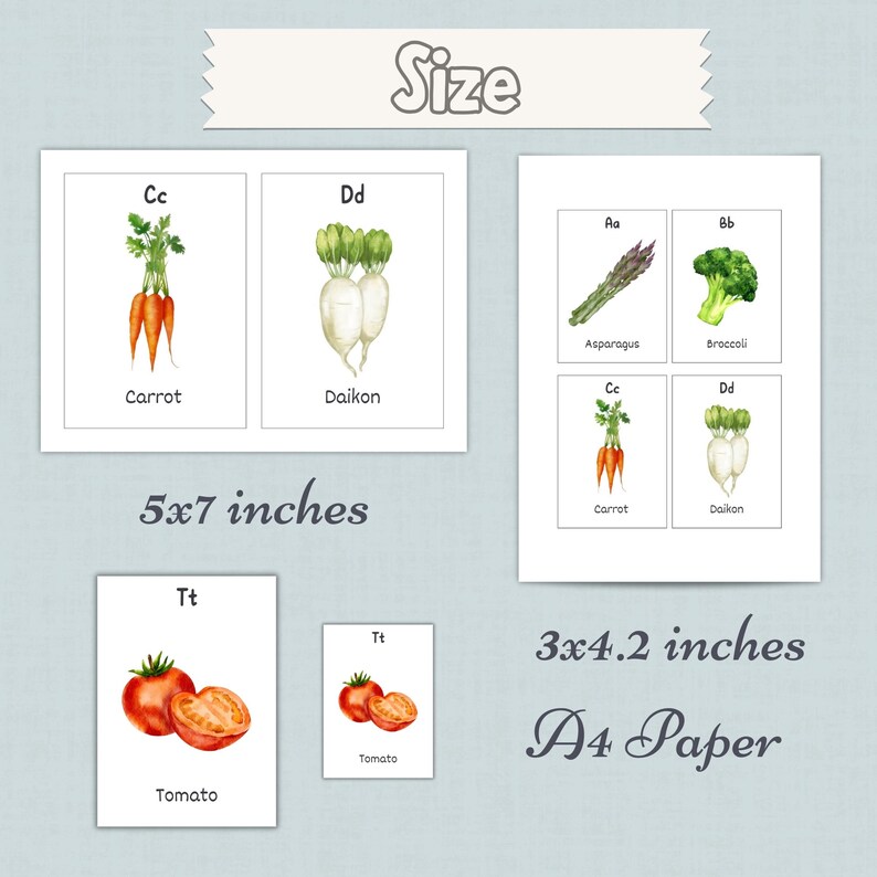 26 ABC Vegetables Flashcards Printable Alphabet Cards Vegetables ...