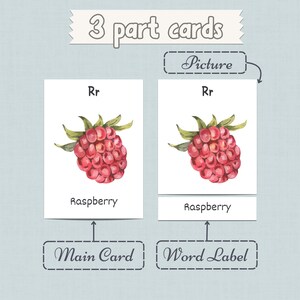 26 ABC Fruits Flashcards Printable Alphabet Cards Fruits Montessori ...