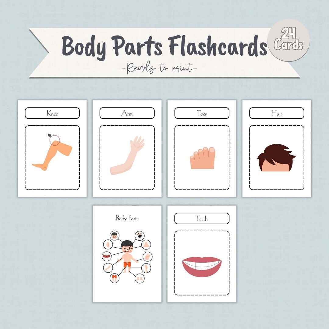 Body Parts Flashcards, Printable Flashcard, Montessori Flashcard, Early ...