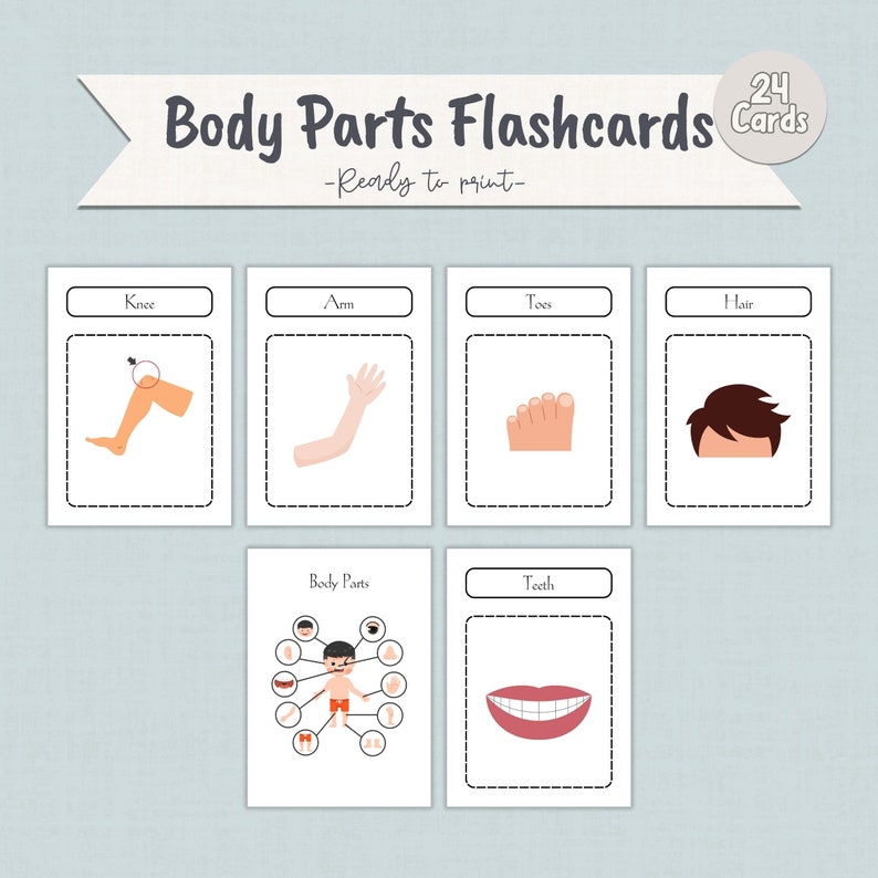 Body Parts Flashcards, Printable Flashcard, Montessori Flashcard, Early ...