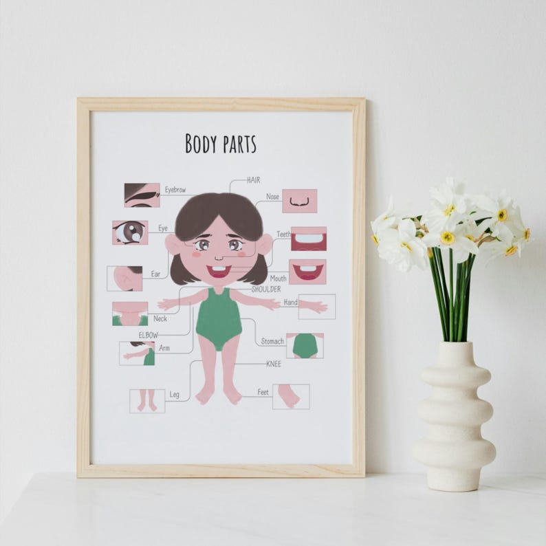Body Parts Poster Printable Body Parts Anatomy Educational Poster ...