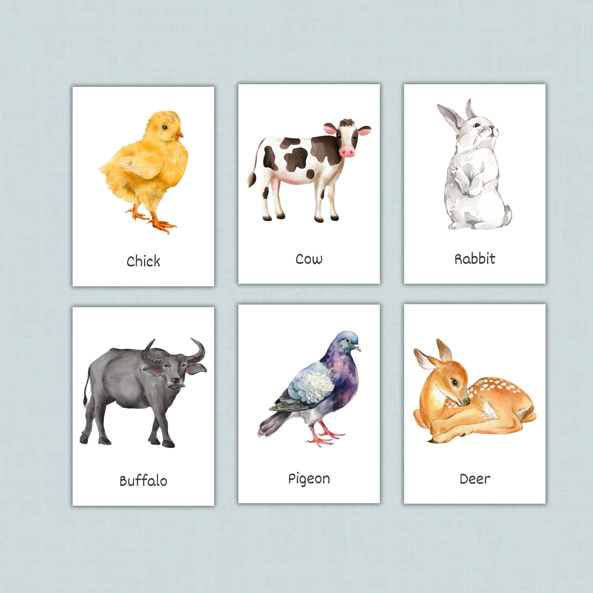 16 Farm Animals Flashcards Printable Animals Cards Animal Collection ...