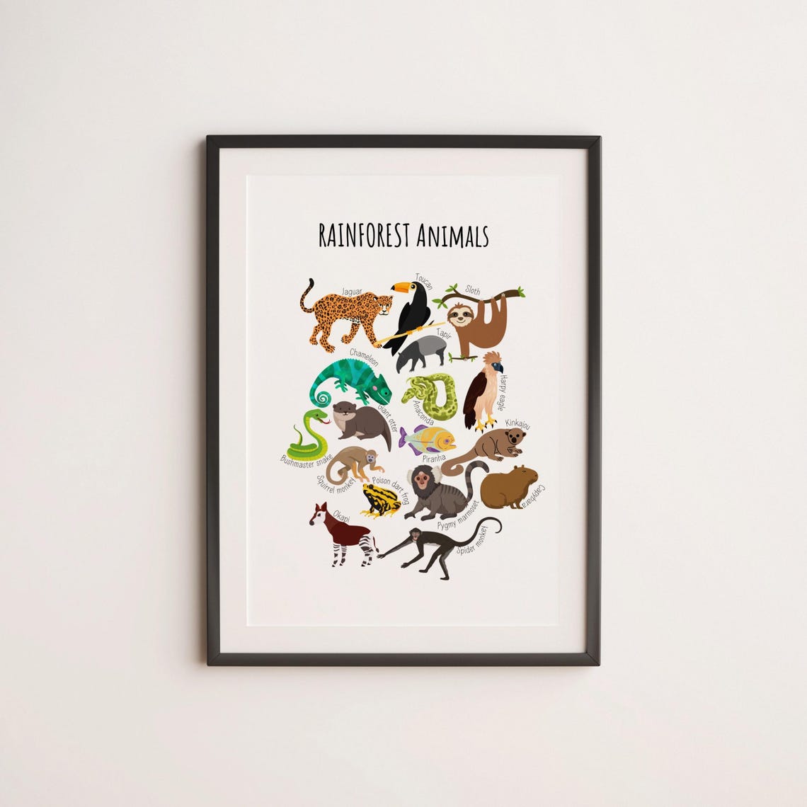 Rainforest Animals Poster Printable Animals Educational Poster ...