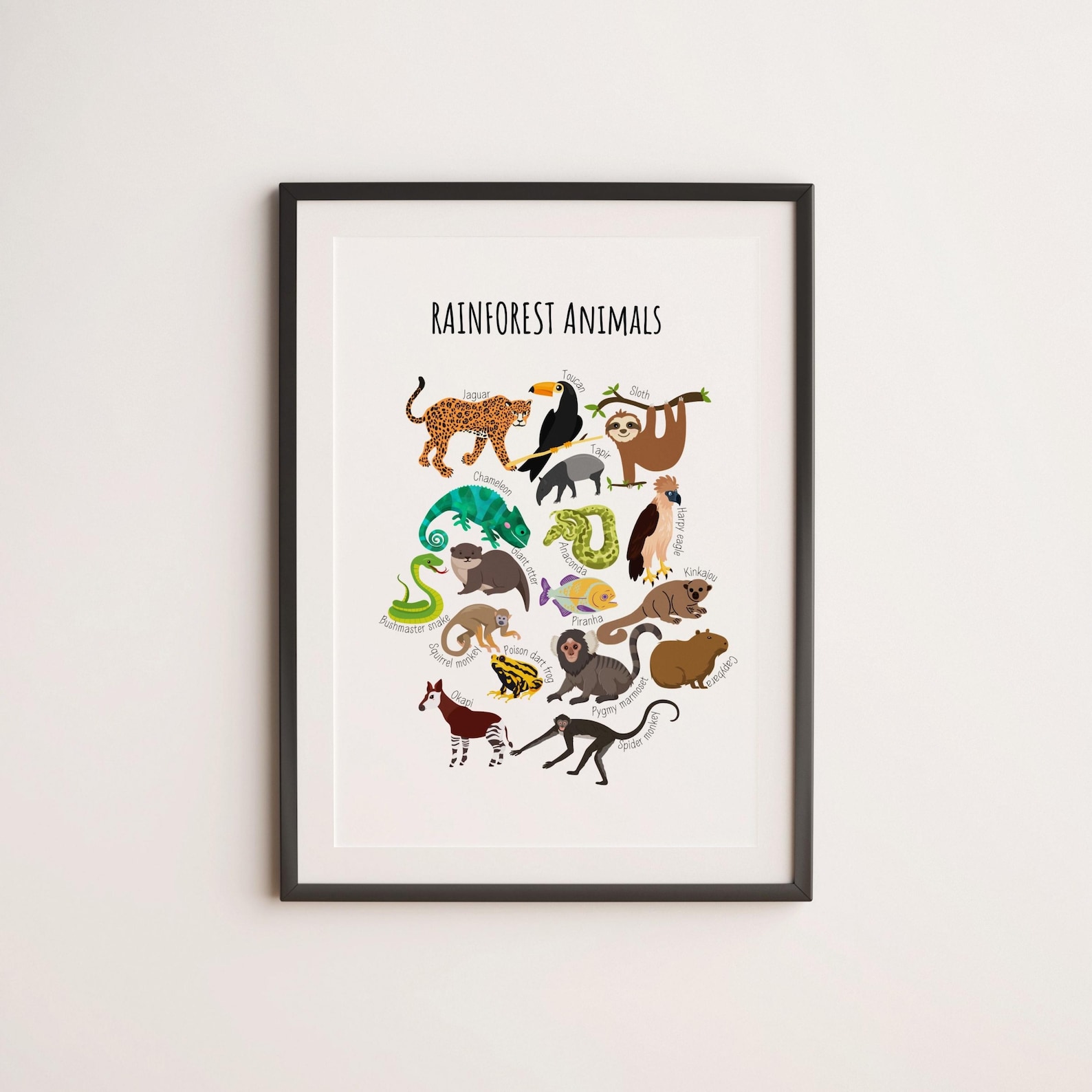 Rainforest Animals Poster Printable Animals Educational Poster ...