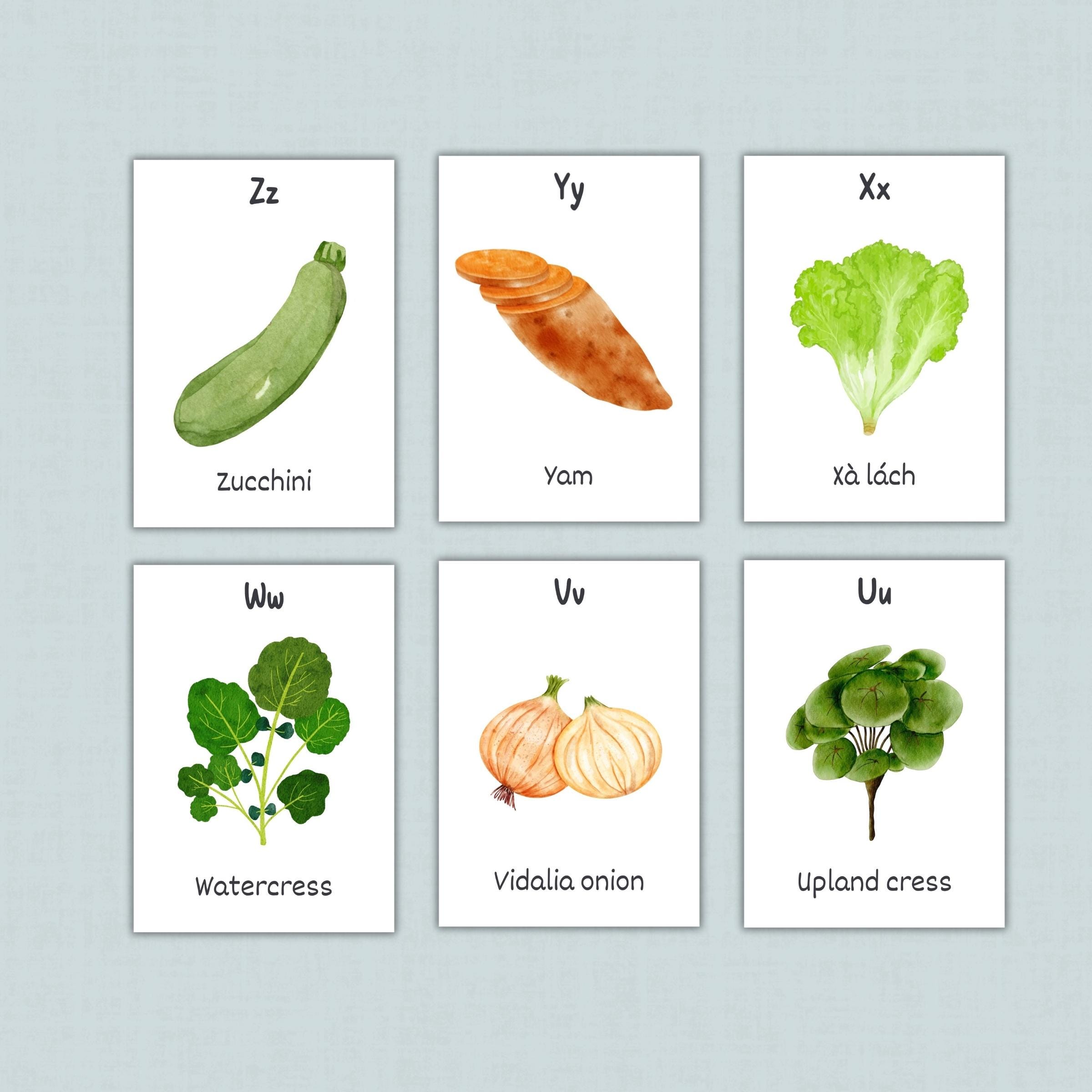 26 ABC Vegetables Flashcards Printable Alphabet Cards Vegetables ...