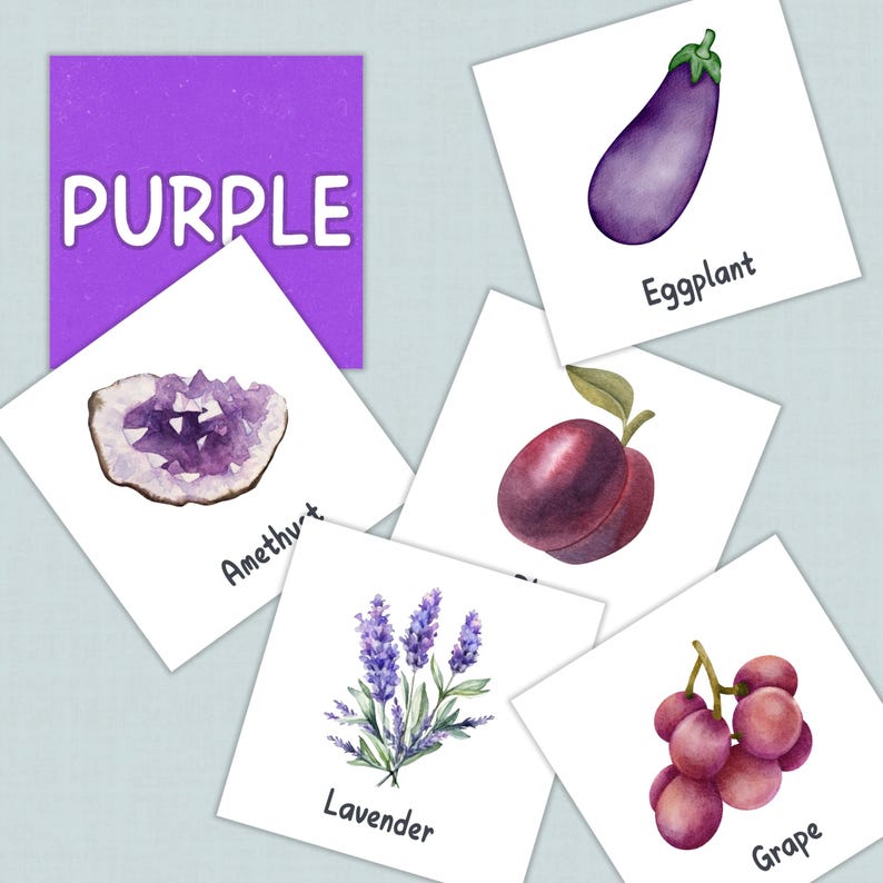 Color and Sorting Flashcards Printable 60 Color and Sorting Cards ...